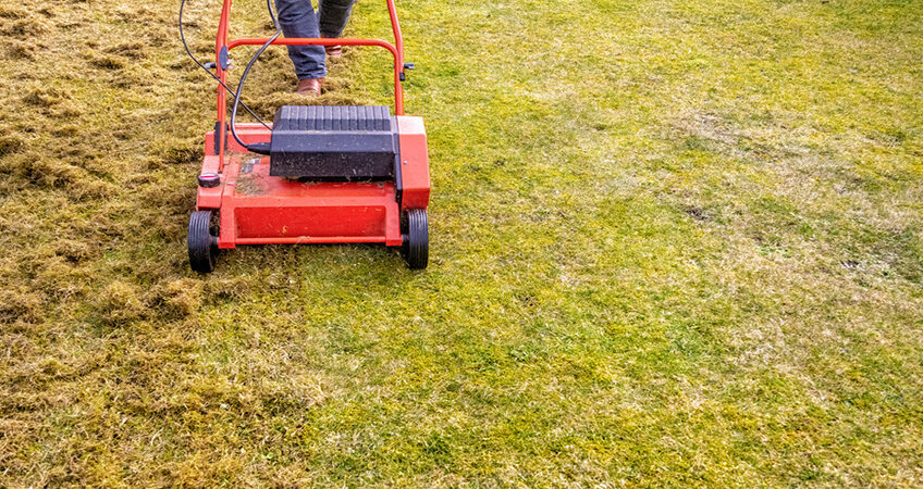 Dethatching - The Lawn People WI