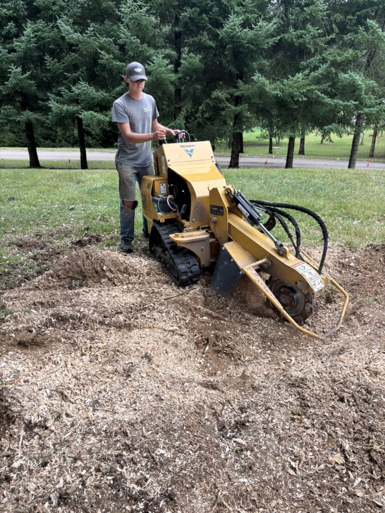 Stump Grinding - The Lawn People WI